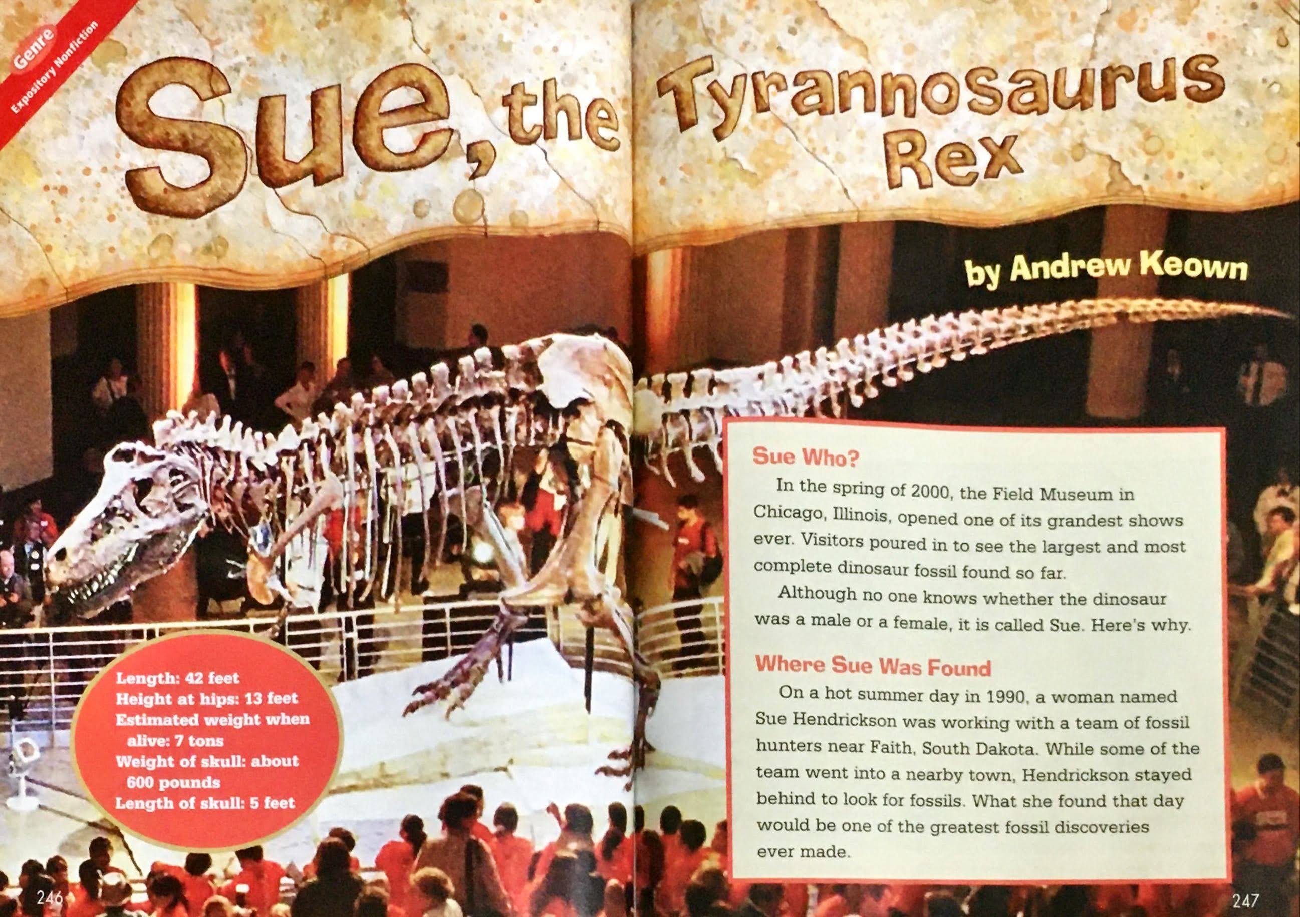 【美國小學教科書二手書】Grade 3-1 Harcourt Trophies: A Harcourt Reading | 蝦皮購物