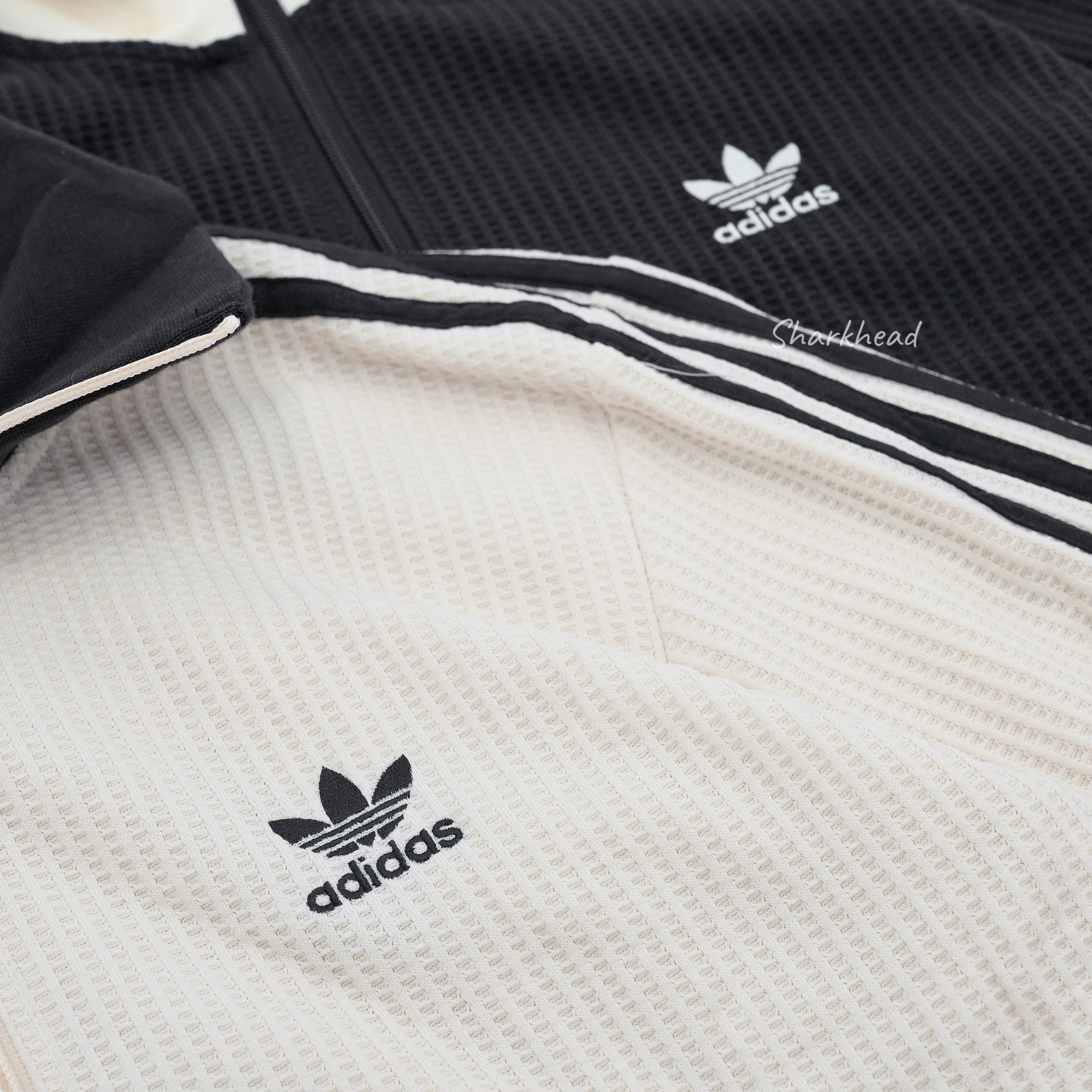 【Sharkhead】現貨 Adidas Originals 外套 黑色 奶油 米白 立領 華夫格 針織 JW0110 | 蝦皮購物