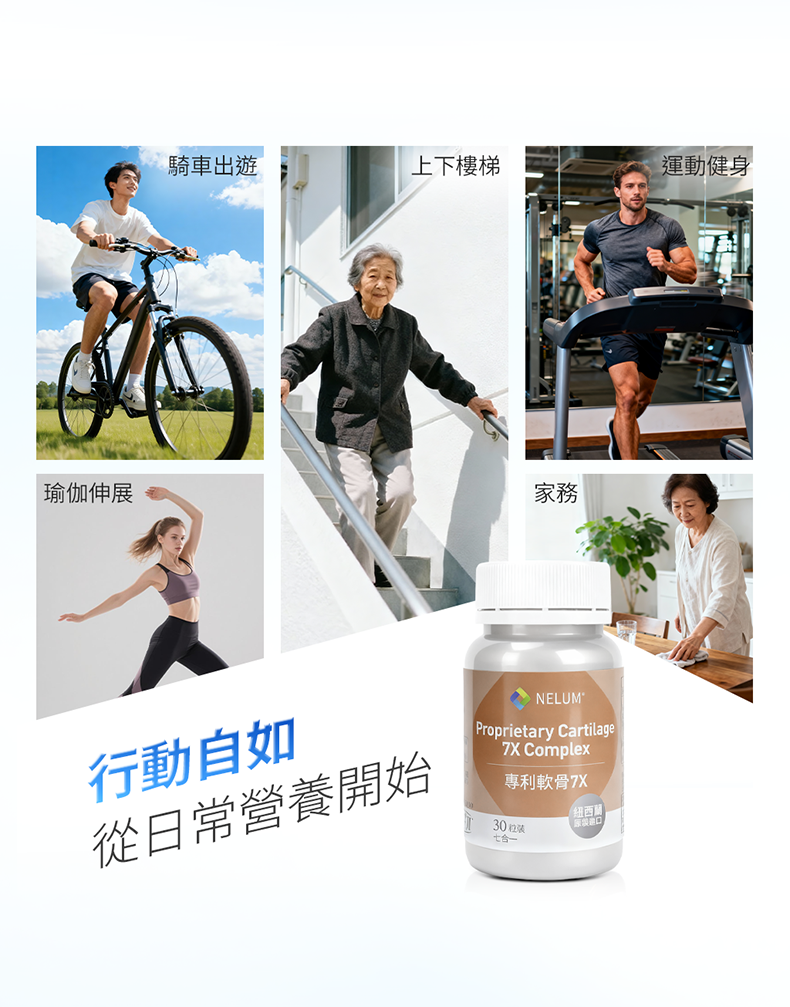 NELUM 專利軟骨7合1 UC-II 葡萄糖胺 非變性第二型膠原蛋白 軟骨素 MSM 玻尿酸 乳香 紐西蘭 奈蓮營養 | 蝦皮購物