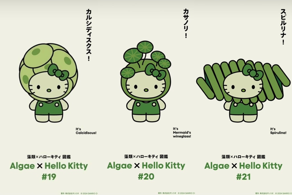 【日本館限定】Hello Kitty × Algae 大阪萬博2025 盲包 (別針/壓克力吊飾) 全32款隨機 | 蝦皮購物