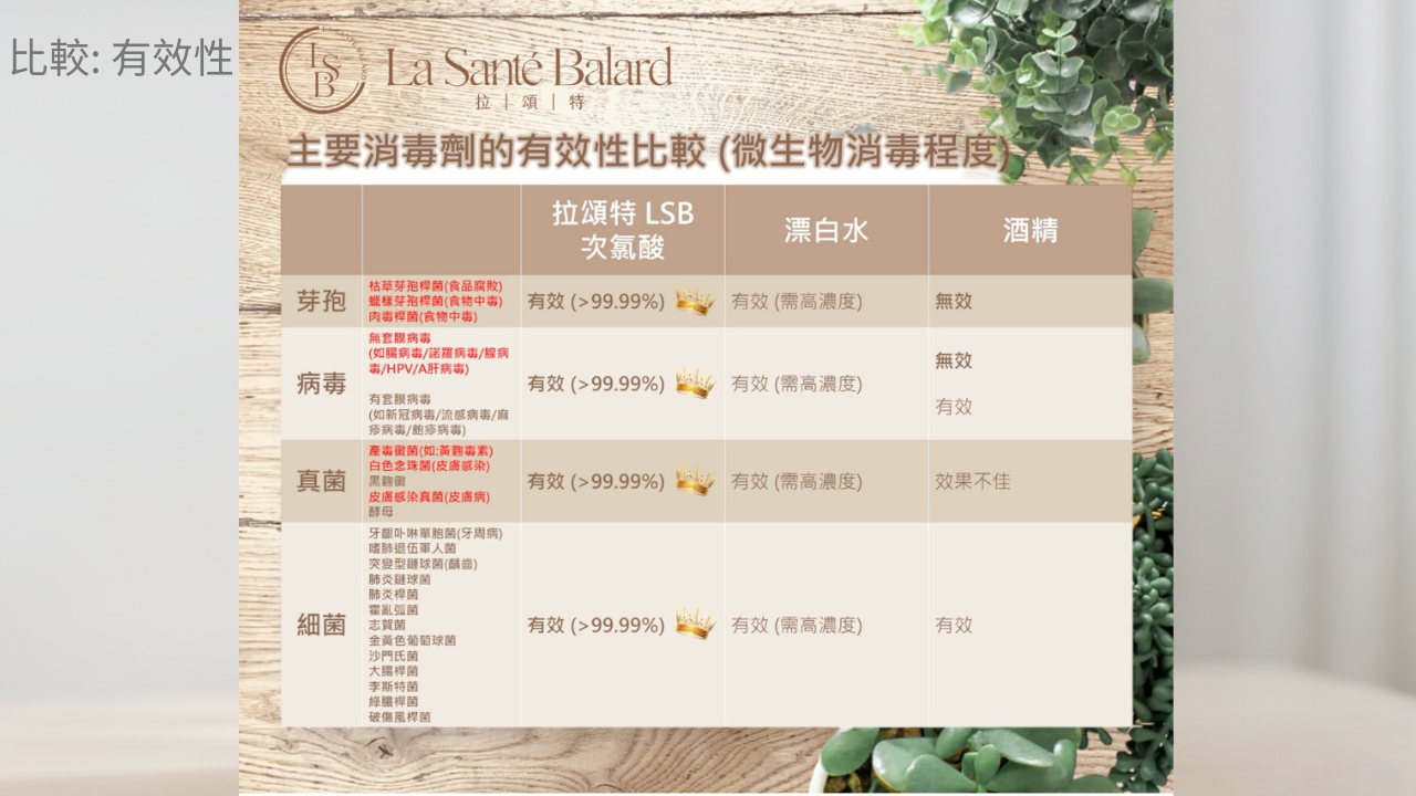 拉頌特LSB 寵物清潔組合 次氯酸噴霧HOCl 500ml+100ml｜除臭抑菌｜｜貓砂/狗窩清潔｜貓狗可舔 | 蝦皮購物