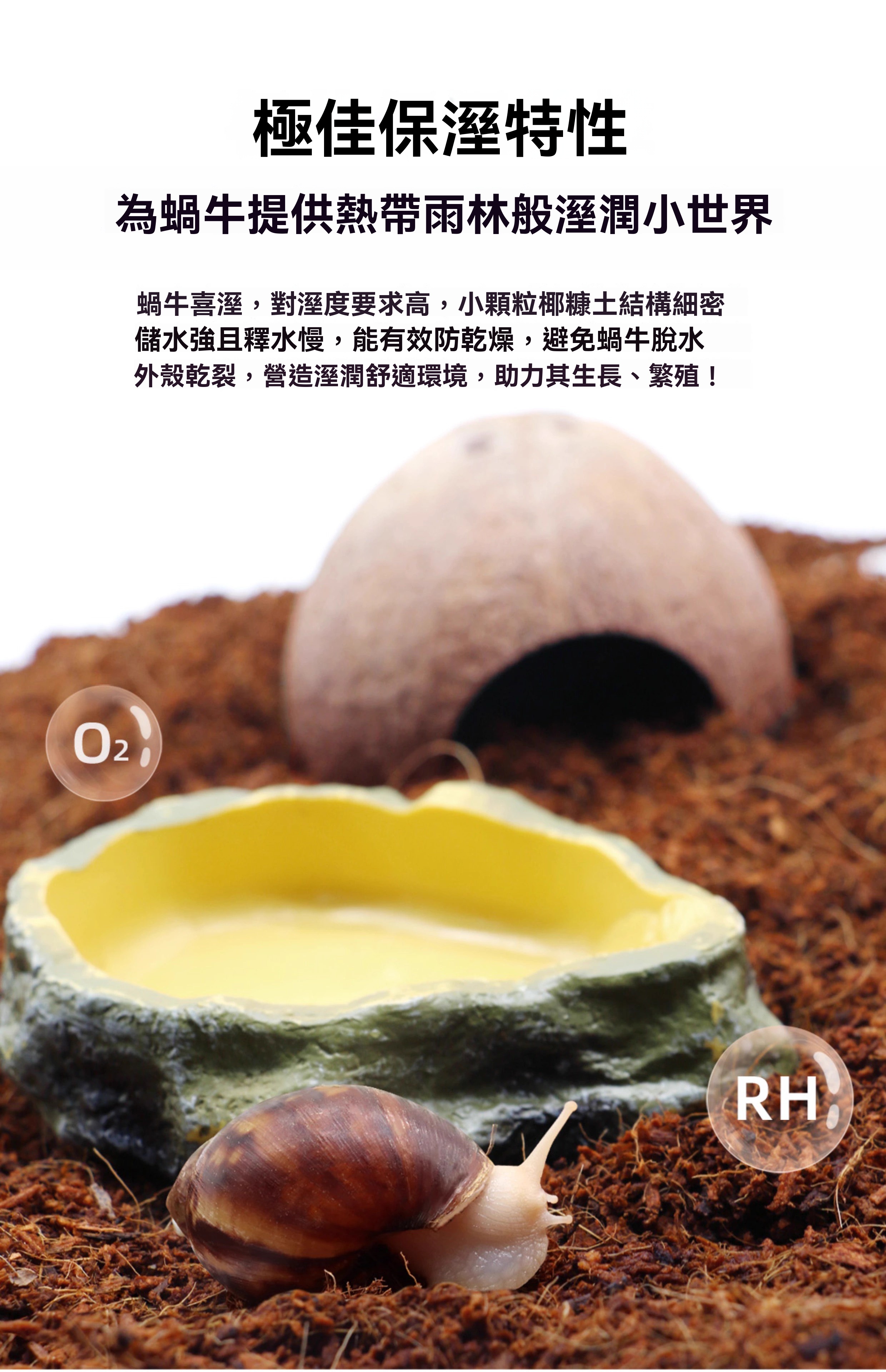 【小囧家】蝸牛專用優質小顆粒 椰糠 椰磚粒~ 易泡發 不易粘身 爬寵墊材 蛻皮椰土 | 蝦皮購物