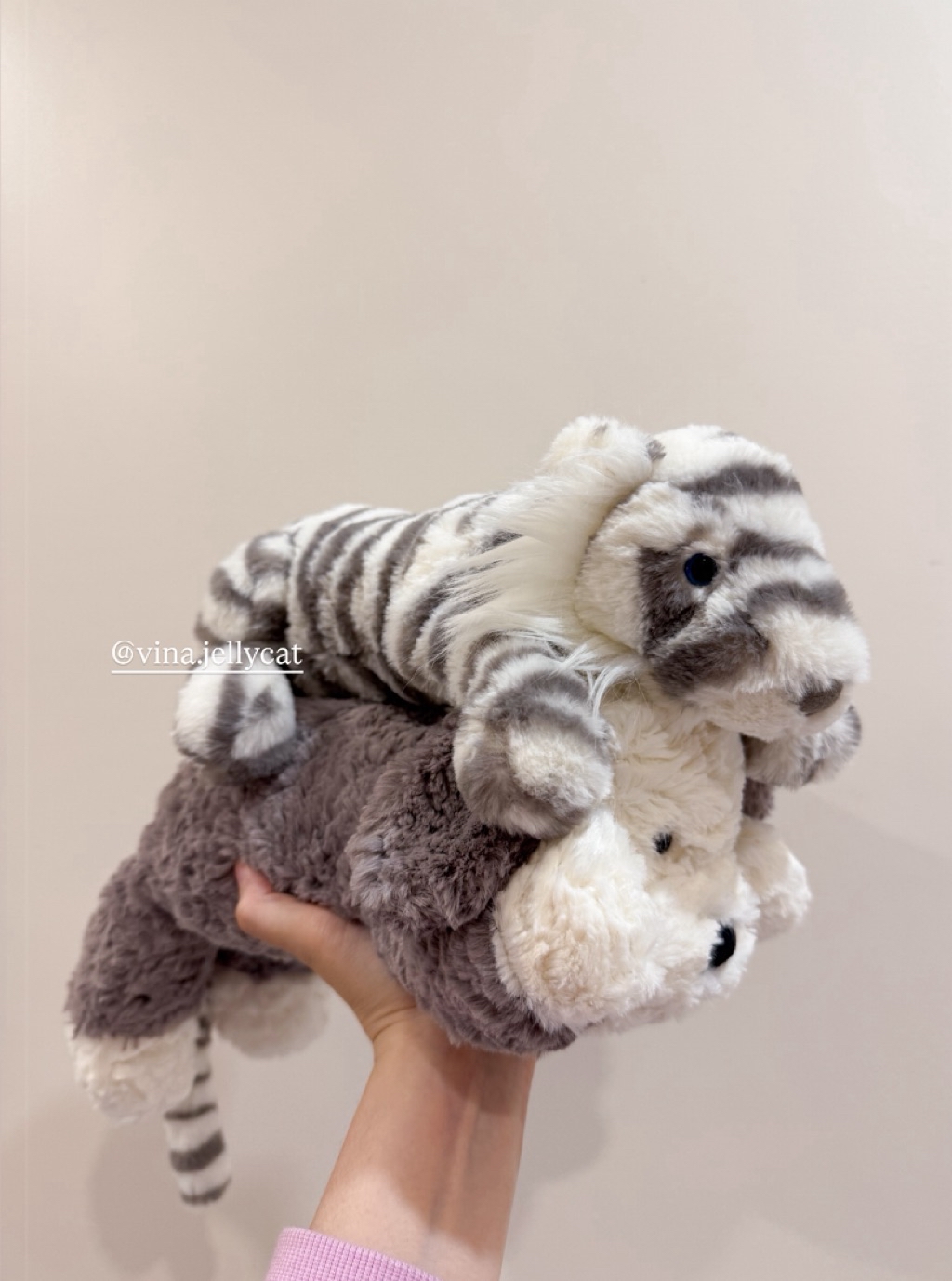 全新 Jellycat 正品｜ 白老虎 白虎 雪虎 🤍 薩加 薩莎雪虎 21公分 Sacha Snow Tiger | 蝦皮購物