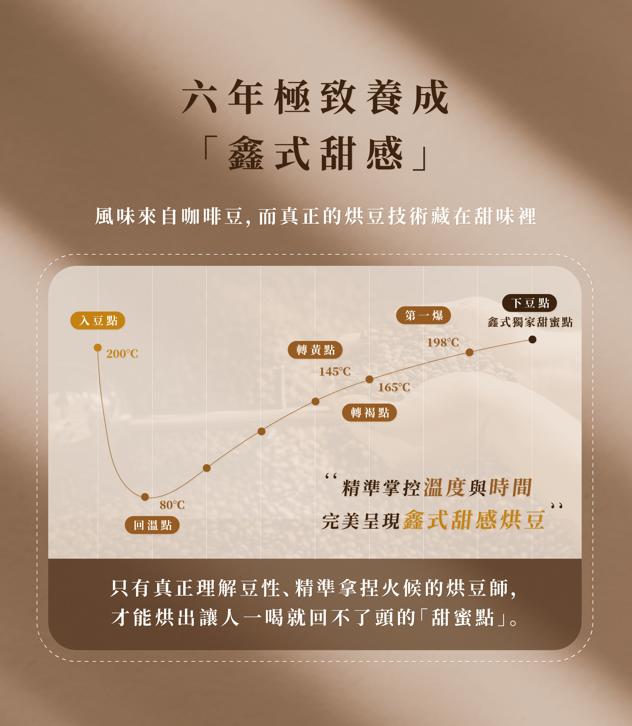 Xinto 嚴選1/2磅中深焙三入組 世界咖啡雙金牌｜Xinto Coffee | 蝦皮購物