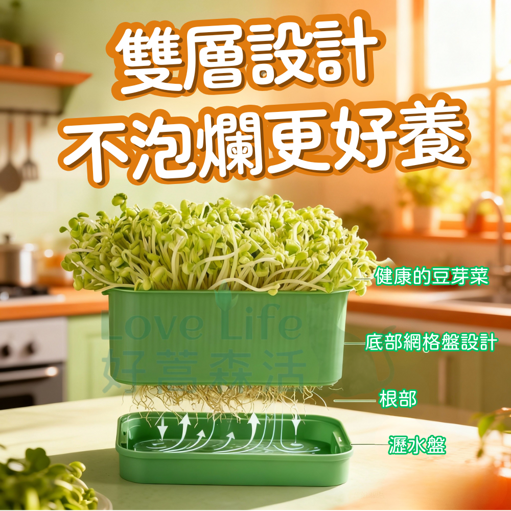 【豆芽菜種植盒 水培發芽盒】家庭DIY雙層瀝水設計｜可重複使用｜居家健康蔬菜栽培神器｜種豆芽菜 | 蝦皮購物