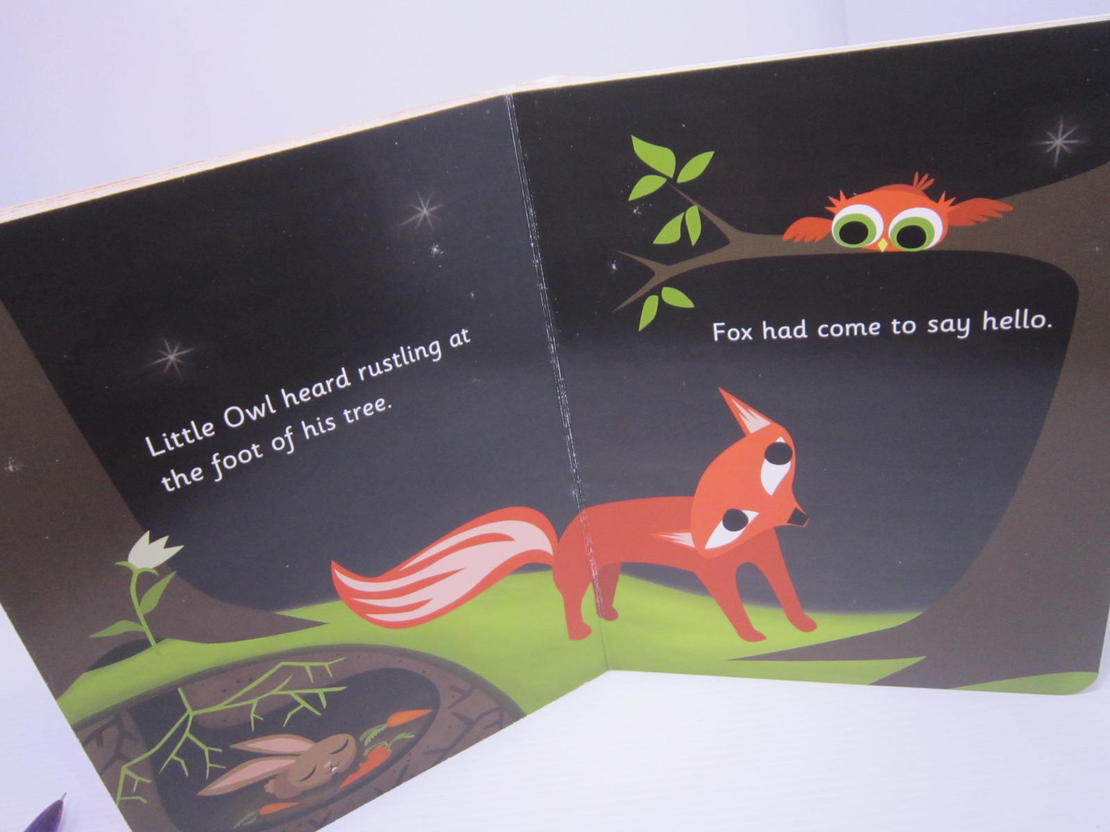 「二手書」Little Owl's Night 英文繪本 硬皮 Divya Srinivasan board book | 蝦皮購物