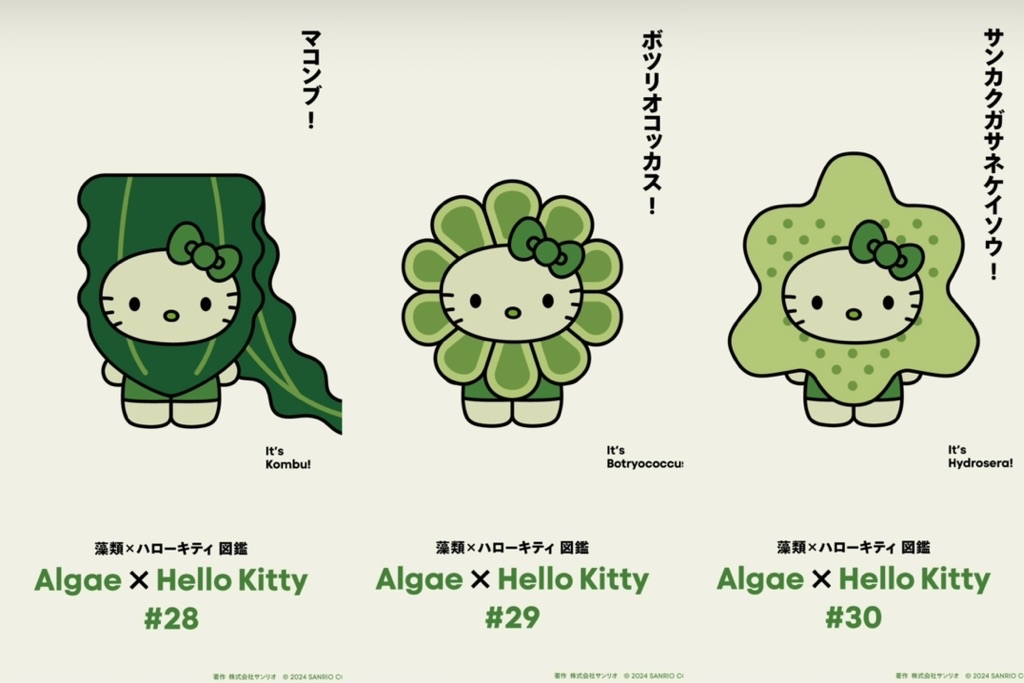 【日本館限定】Hello Kitty × Algae 大阪萬博2025 盲包 (別針/壓克力吊飾) 全32款隨機 | 蝦皮購物