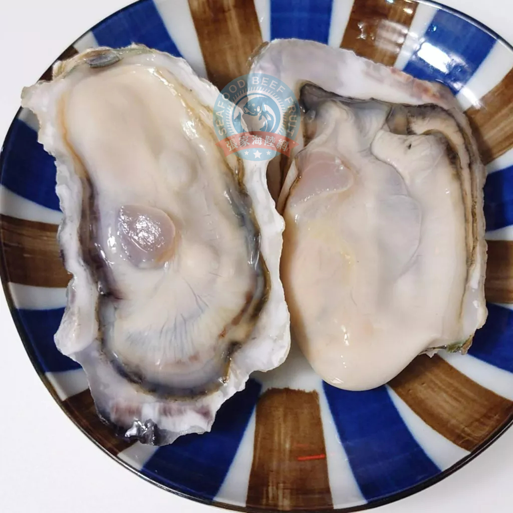 【張家海陸網】日本生食級生蠔（3粒裝） 日本生蠔 生蠔 烤肉食材 | 蝦皮購物