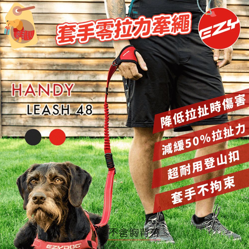 EZYDOG 零拉力套手牽繩 120公分（不含胸背帶）緩衝50%拉扯力 耐用登山扣 套手不拘束 | 蝦皮購物