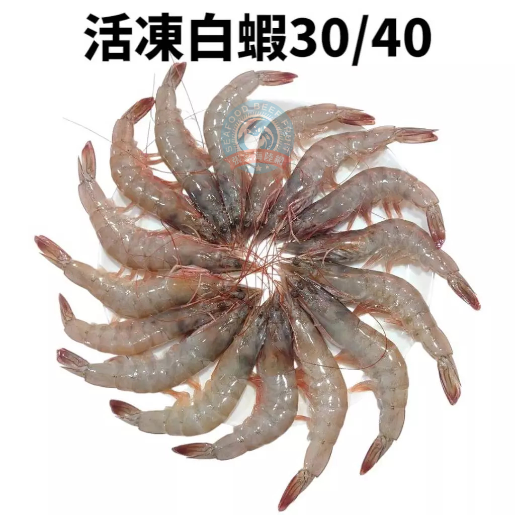 【張家海陸網】活凍白蝦 30/40 480g 約15~16隻 | 蝦皮購物