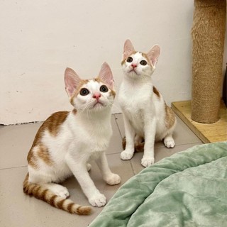 e7166 - 優惠推薦 - 2025年7月 | 蝦皮購物台灣