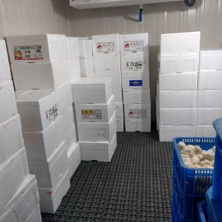 n548 - 優惠推薦 - 2025年7月 | 蝦皮購物台灣