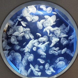 n6523 - 優惠推薦 - 2024年12月 | 蝦皮購物台灣