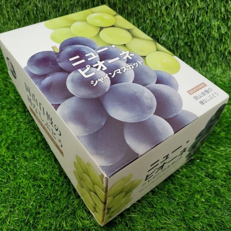 🇺🇸美國進口🍒skeena 櫻桃8.5R原裝箱2kg/5kg | 蝦皮購物