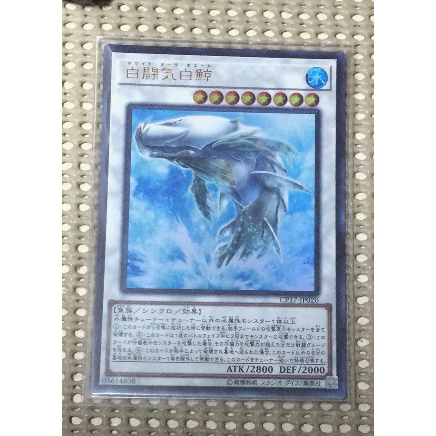 [ 隨緣遊戲王卡 ] CP17-JP020 白鬥氣白鯨 ( 金亮 ) | 蝦皮購物