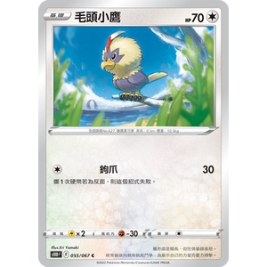 【大安瘋】S10D 055/067 C｜毛頭小鷹｜寶可夢｜時間觀察者｜PTCG寶可夢卡牌正版中文 | 蝦皮購物