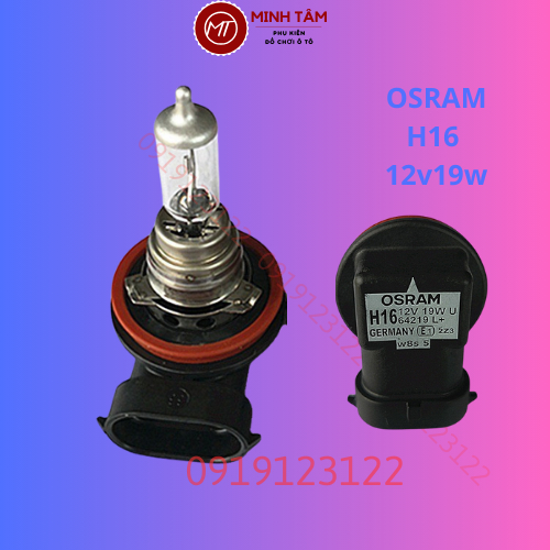 歐司朗 H16 12v19w Vios RAV4 Ralink Bora Venucia D50R50 霧燈燈泡 | 蝦皮購物