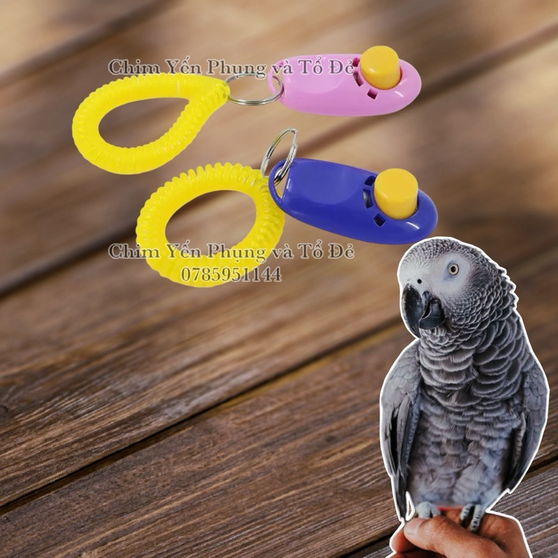 Clicker Train Parrots,狗,貓聽,易於使用(顏色隨機) | 蝦皮購物