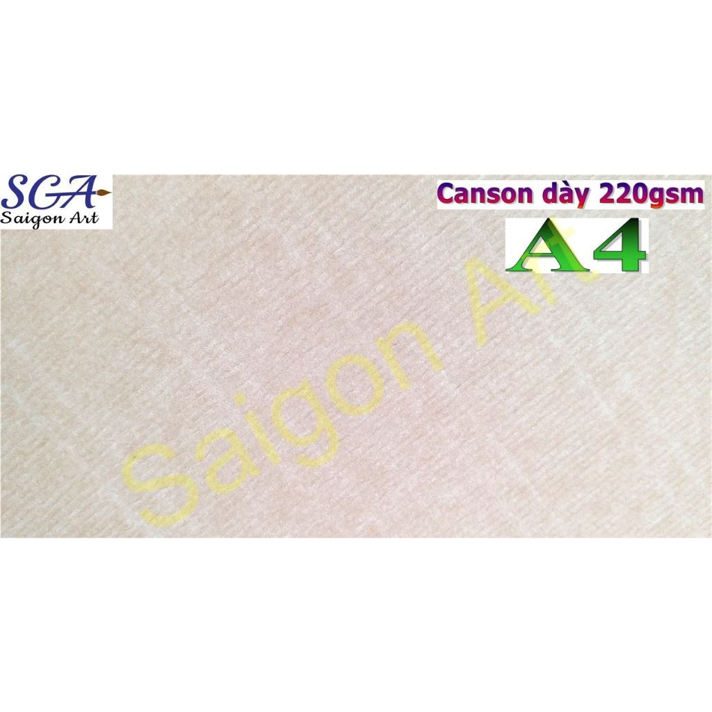 [SGA] 10 張 Canson 繪圖紙,A4 尺寸,220gsm 厚 | 蝦皮購物