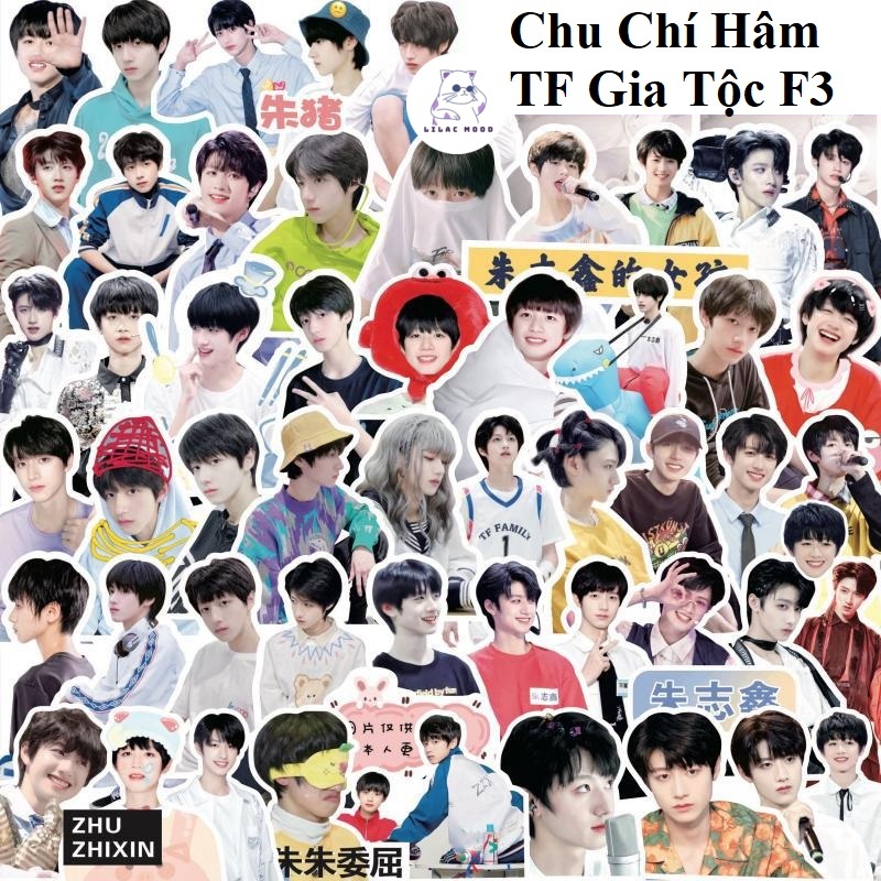 可用一套 56 張貼紙楚志火腿 / TF 家庭 F3 獨特、防水 DIY 貼紙 F4 Ta Hang To Tan Ha | 蝦皮購物