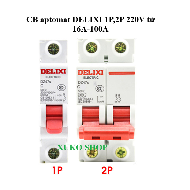 CB 斷路器 1P,2P 230V 從 16A-100A DELIXI | 蝦皮購物